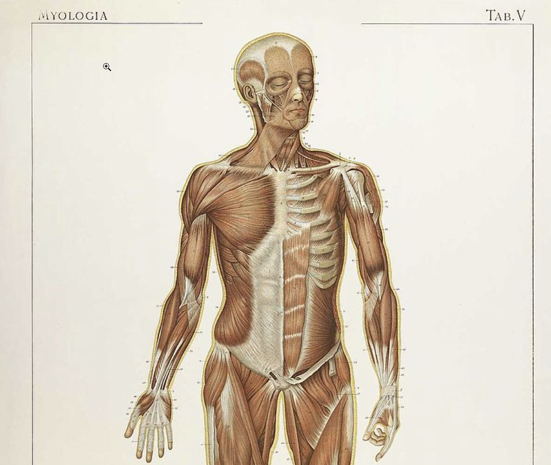 Projects – FND Portal